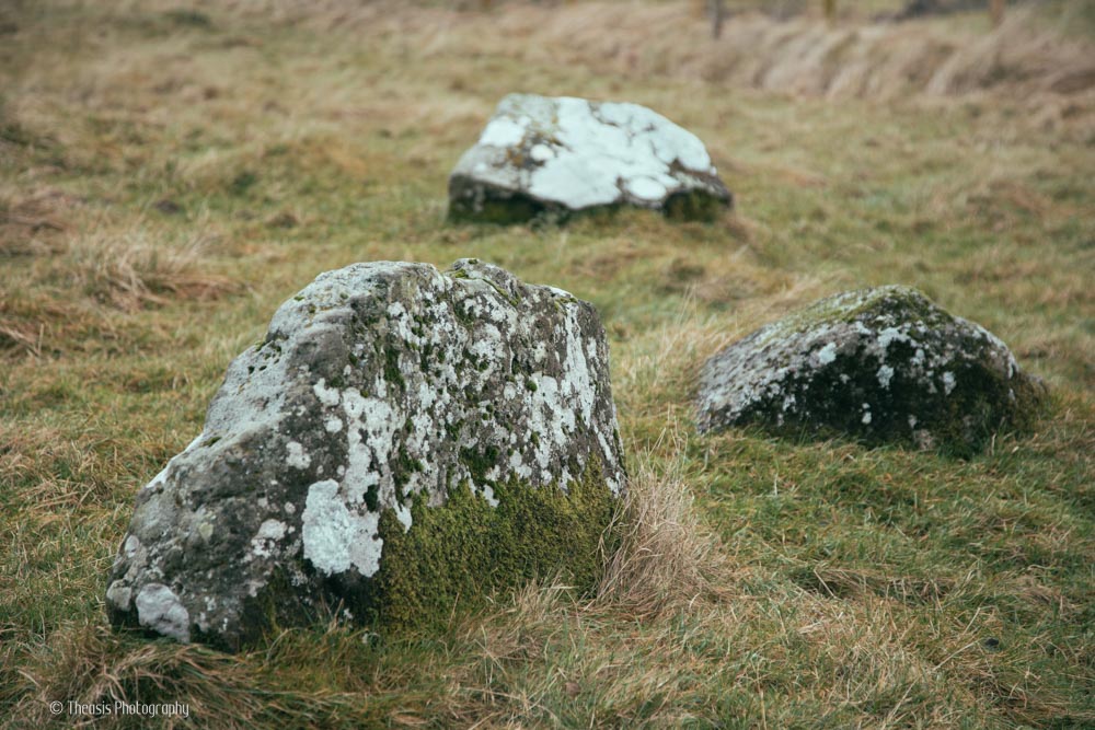 Ancient Scotland - Loupin Stanes